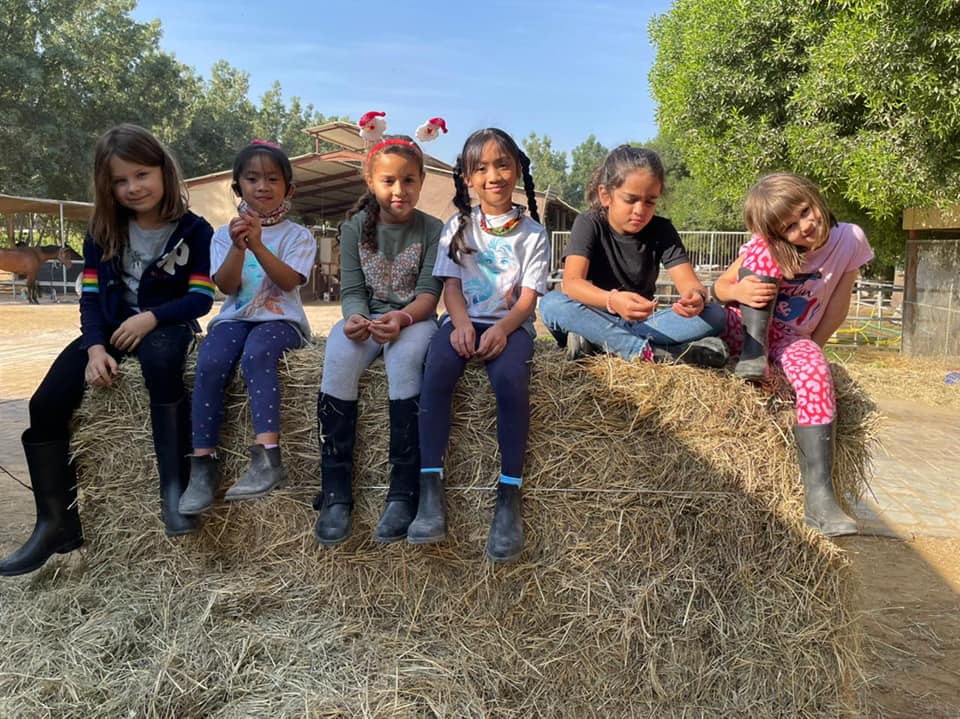 European Equestrian Academy Dubai – Riding School Dubai